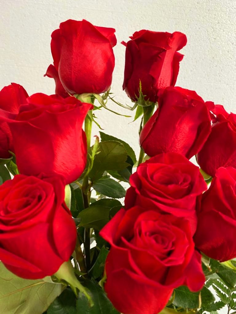 Ramo de 18 rosas largas - Floristería en madrid | Flores Arguelles ...